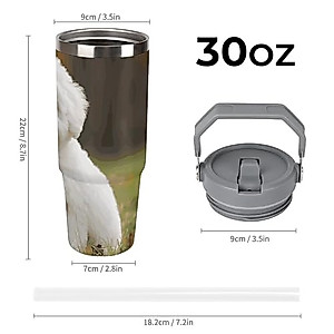 RTFGHJS Bichon Frise Dog 30 Oz Tumbler with Handle And Flip Straw, Stainless Steel Vacuum Insulated Travel Mug, Thermal Cup for Coffee, Water, Iced Drinks, Fits Car Cup Holders (Home, Sports)