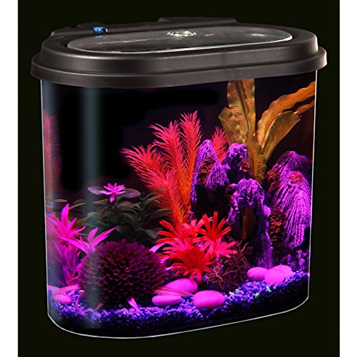 Koller Products AquaView 4.5-Gallon Aquarium Starter Kit with Full Filtration and LED Lighting - 7 Dazzling Colors to Select