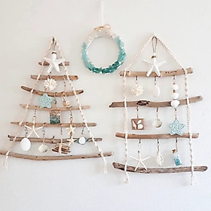 JQAQJU 3-4 Inches Large Starfish and Scallop Shells for Crafts 12PCS, Natural Beach Sea Shells for Crafting, Baking Shells Perfect for White Christmas Decor Beach Party Wedding Fishtank DIY Crafts