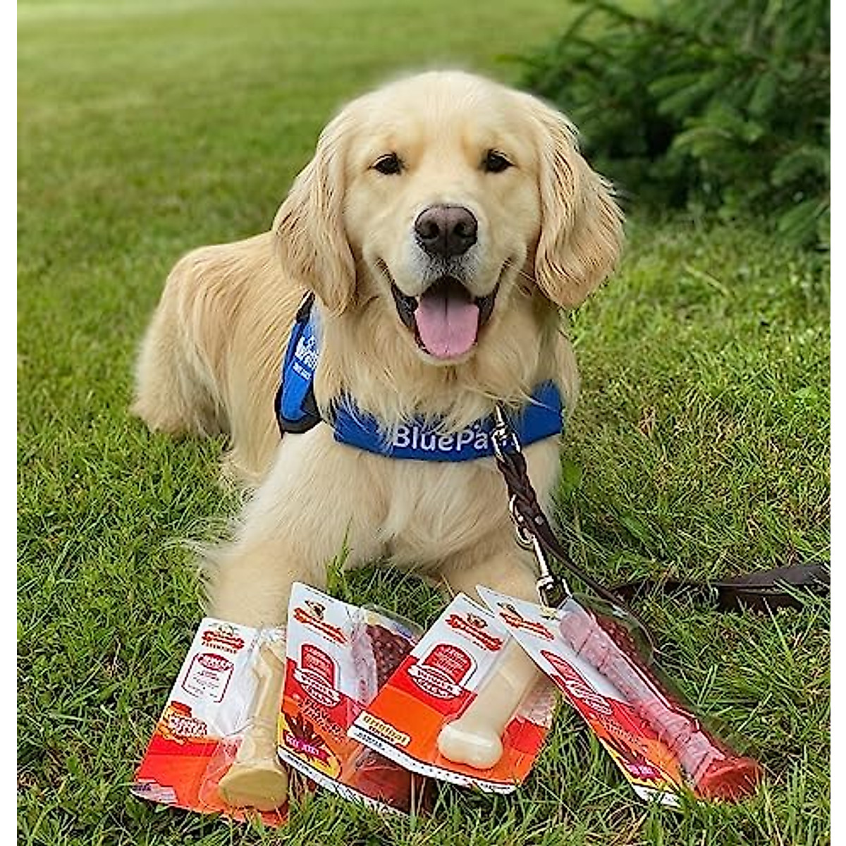 Nylabone Power Chew Classic Bone Chew Toy for Dogs, Durable Dog Toys for Aggressive Chewers, Original Flavor, Large/Giant - Up to 50 lbs. (1 Count)