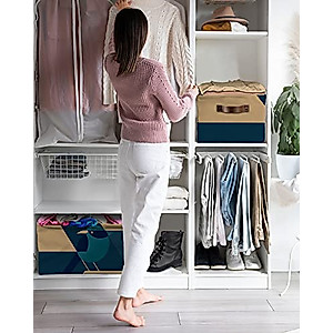 Abstract Art Geometric Bird Storage Bins with Handles, Modren Art Painting Animal Storage Basket for Shelves, Cube Storage Organizer Bins for Toys, Closet (1 Pack, 15" x 11" x 9.5")