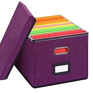 EOOUT File Folder Organizer - 1 Pack, Hanging File Storage Box with Handles