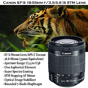 Canon EOS 90D DSLR Camera with 18-55mm STM Lens Bundle + Commander Optics Accessories Package Including Filters, Case, Remote + Sandisk 64GB Memory, Movavi Software Package & More (Renewed)