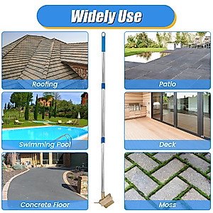 Cleaning Paving Joints,Cleaner Moss Remover Brush with Scraper Patio Weed Brush Head for Outdoor Weed Remover Tool Removable 2 in 1 Weed Remover Brush 4-Section Handle Crack Weeder (B)