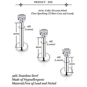 Vsnnsns 16G Lip Rings Stainless Steel Labret Jewelry Monroe Lip Rings Nail Cartilage Tragus Helix Earrings Studs Piercing Jewelry Medusa Piercing Jewelry for Women Men 16 Gauge Earrings 2MM CZ Silver
