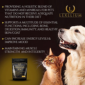 Holistic Multivitamin Supplement for Dogs and Cats - Complete 12-in-1 Plant-Based Vitamins & Minerals for Skin, Coat, Digestion, Bones, and Immunity - Omega-3 Fish Oil, Vitamin Mineral Complex - 200G