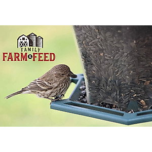 FAMILY FARM AND FEED | Four Season | Black Oil Sunflower Seed | 4 Pounds | Wild Bird Food | Backyard Songbird