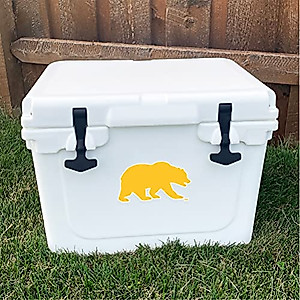 Berkeley University of California Golden Bears Cal UC Golden Bears Cal UC Vinyl Decal Laptop Water Bottle Car Scrapbook Sticker (IND 00008a)
