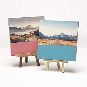 Mod Podge FBA Scrapbooking Foam Brush Set, (4-Piece), Assorted 4 Count