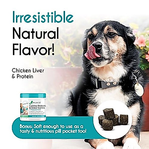 Balanced Breed Dog Probiotics Digestive Gut Health Chew Made in USA Non-GMO Vet-Phamacist Approved Fortiflora Probiotics Dogs Anti Yeast Supplements Constipation Relief Dog Yeast Itchy Skin Itchy Ears