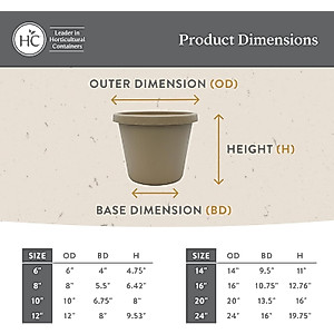 The HC Companies 12 Inch Round Prima Planter - Plastic Plant Pot with Rolled Rim for Indoor Outdoor Plants Flowers Herbs, Honey