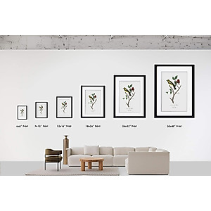 Dixie Dairy Kreme Ice Cream Sign on Rt. 79 in Leeds, Alabama