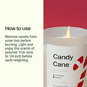 Plant Therapy Candy Cane Naturally Scented Candle 9 oz Hand-Poured Coconut & Soy Wax Blend, Crisp & Cool Natural Scent, Chic Frosted White Jar with Wooden Lid