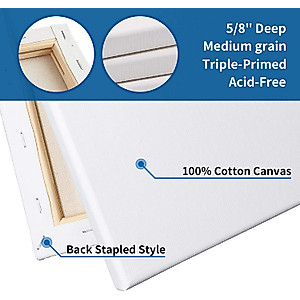 FIXSMITH Stretched Canvas for Painting- 8x10 Inch,Bulk Pack of 12,Primed,100% Cotton,5/8 Inch Profile of Super Value Pack for Acrylics,Oils & Other Painting Media.