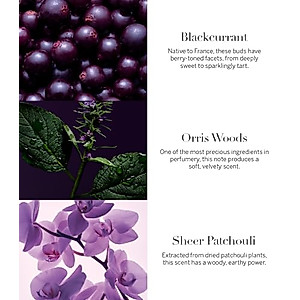 Victoria's Secret Very Sexy Orchid Eau de Parfum Rollerball, Notes of Blackcurrant, Orris Woods & Sheer Patchouli, Travel Size Mini Perfumes for Women (0.23 oz)