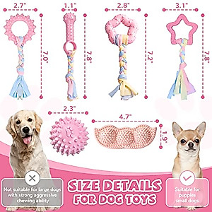 ABRRLO Puppy Toys 6 Pack Puppy Chew Toys for Teething Small Breed Dog Toys for Small Puppies Cute Pink Small Dog Chew Toys Soft Rubber Durable Puppy Teething Toys Interactive Pet Dog Toys Set
