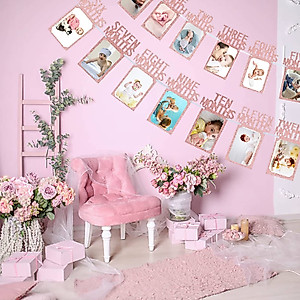 Newmemo 1st Birthday Baby Photo Banner for Girls Baby First Birthday Photograph Banner From Newborn to 12 Month Rose Gold Monthly Milestone Bunting Garland Safari Jungle Baby Shower Birthday Decor