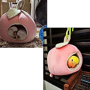 ANIAC Pet Winter Hanging Fruit House Hammock Warm Bed Nest Accessories for Hamster Guinea Pig Hedgehog Chinchilla Hamster and Small Animals (Pink)