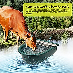 Junniu Automatic Livestock Waterer Water Bowl Trough Kits for Goat horse Dog Pig Cattle Farm Supplies, with 2PCS Float Valve, Brass Connector, Stainless Steel Cover, Hole at the Bottom, Green