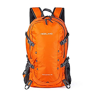 Sharkborough Daypack Backpacks, Orange, 40 Long