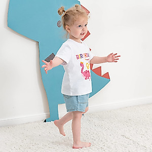 3rd Birthday Dinosaur T-Shirt Tee for Toddler Kids Girls - Dino Birthday Party T Shirt 3 Years Old White Short Sleeve Printed Graphic Outfit 100% Cotton B-Day Shirt Gift