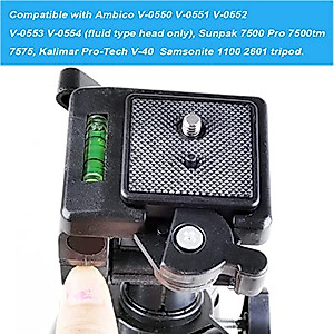 IOUALEY 2 Pack 41mm and 43mm Tripod Quick Release Plate Camera Mounting Adapter, 2 Sizes QR Release Camera Tripod Ball Head Parts Replacement Compatible with Ambico Sunpak Kalimar Zomei Tripod Mount