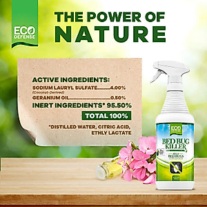 Eco Defense Bed Bug Killer - USDA Biobased, Bed Bug Spray & Dust Mite Spray - Natural Repellent Treatment - 16 oz