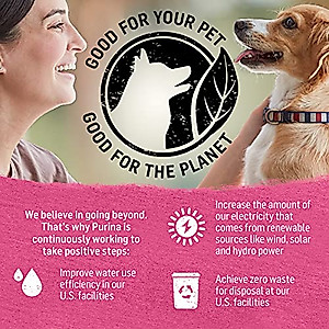 Purina Beyond Farm-Raised Beef and Spinach in Gravy Grain Free Wet Dog Food - (12) 12.5 oz. Cans