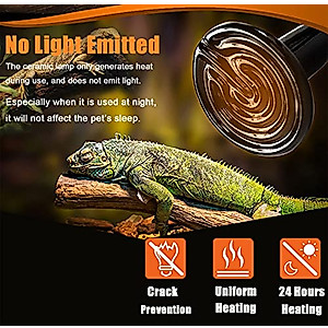 Woyrise 100W Ceramic Heat Emitter, Reptile Heat Lamp Bulbs, No Light Emitting Brooder Coop Heater for Amphibian Pet & Incubating Chicken, Black (2-Pack)