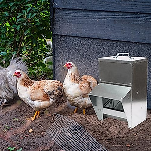 Rural365 50lb Capacity Galvanized Chicken Feeder Weatherproof Coop Dispenser