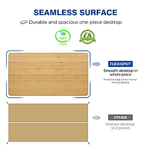 FLEXISPOT Quick Install Standing Desk EC9 Electric Height Adjustable Desk for Home Office 48 x 24 Inches Sit Stand Desk Whole-Piece Desk Board VICI(White Frame + 48" White Top)