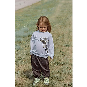 HINTINA Toddler Boy Sweatshirt Outfits Long Sleeve Dinosaur Top Pants Sweatsuit 2PCS Fall Winter Outfits Set(Light Grey, 7-8 Years)