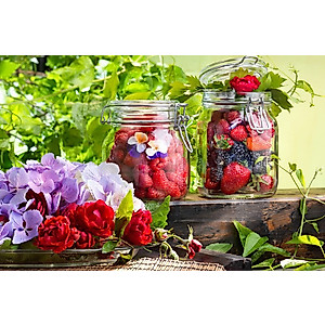 Bormioli Rocco Fido Glass Square Jar, 3 Liter