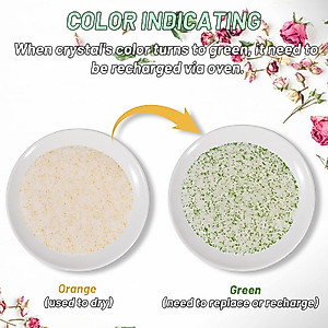 Eazy2hD Silica Gel Flower Drying Crystals Desiccant 5LBS with Sealed Container & Gloves for Wedding Flowers Bouquet Preservation Kit