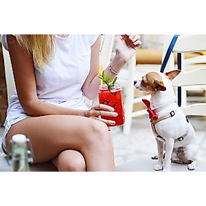 Sunseeke Reusable Silicone Straws Set - Odorless, for Stanley Travel Tumbler | 14 OZ to 20 OZ | Food Grade Platinum Silicone - 8 1/2" Long