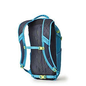 Gregory Mountain Products Nano 20 Everyday Outdoor Backpack, Calypso Teal, one Size