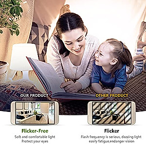 LED Corn Light Bulb 150W Equivalent 2000 Lumen 6500K Cool Daylight White 20W E26/E27 Base Non-dimmable Ceiling Fan Corn Lighting for Home Garage Warehouse Indoor LED Corn Bulbs Pack of 4