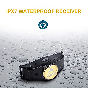 PATPET Dog Training Collar with Remote - Rechargeable Shock Collar for Medium Large Dogs 1000Ft Remote Range 3 Training Modes