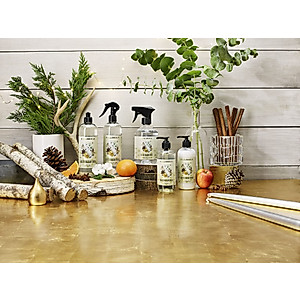 Caldrea Dish Soap, Biodegradable Dishwashing Liquid made with Soap Bark and Aloe Vera, Gilded Balsam Birch Scent, 16 oz