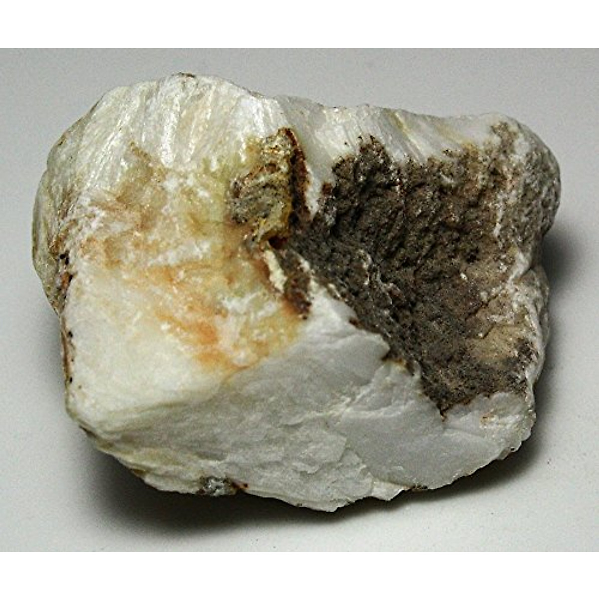 Barite Bologna Stone - Pack of 2 Unpolished Minerals