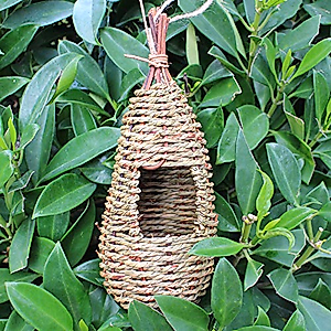 NC Hand-Woven Pet Bird Nest Hut Cage Feeder Parrot Parakeet Toy House Natural Outdoor