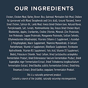 Instinct Raw Boost Puppy Whole Grain Real Chicken & Brown Rice Recipe Natural Dry Dog Food, 4.5 lb. Bag