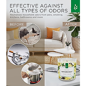 Stillwater Bath and Body™ Naturesway™ French Vanilla Odor Eliminating Scented Candle for Home - Non-Toxic, Long Lasting, All Natural Soy Wax Candle - 12.5 Ounce Jar with Lid - Hand Made in The USA