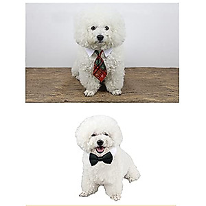 4 Pieces Pets Dog Cat Bowtie Pet Costume Adjustable Formal Necktie Collar for Cats Small Dogs Puppy Grooming Accessories (Snow)