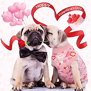 Kuoser Dog Surgery Recovery Suit, Valentine's Day Dog Surgical Recovery Suit for Female Male Dogs, Dog Onesies for Small Dogs, Pet Surgical Suit for Spay Neuter Dog Cone Alternative