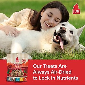 PLATO Turkey Real Strips Natural Dog Treats - Real Meat - Air Dried - Made in the USA - Turkey & Cranberry, 3 ounces
