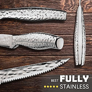 CHUIFU Steak Knives, Steak Knives Set of 4, 4.5 Inch Stainless Steel Serrated Steak Knife, Hammered Pattern Hollowed Handle, Steak Knife Set with Gift Box