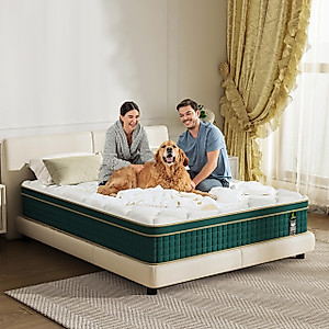 JEEKEA Twin Mattress in a Box - 10 Inch Twin Size Memory Foam Mattress - Hybrid Mattress Twin Size for Back Pain Relief - Medium Firm Twin Bed Mattress with Motion Isolation & Strong Edge Support