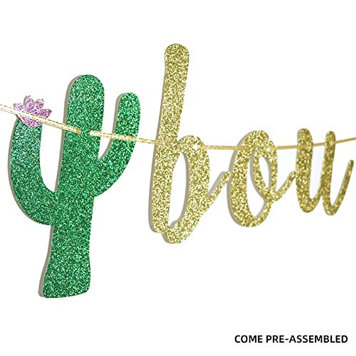 Taco Bout 50 Cactus Banner, 50th Birthday Fiesta Party Decorations, 50th Birthday Decor