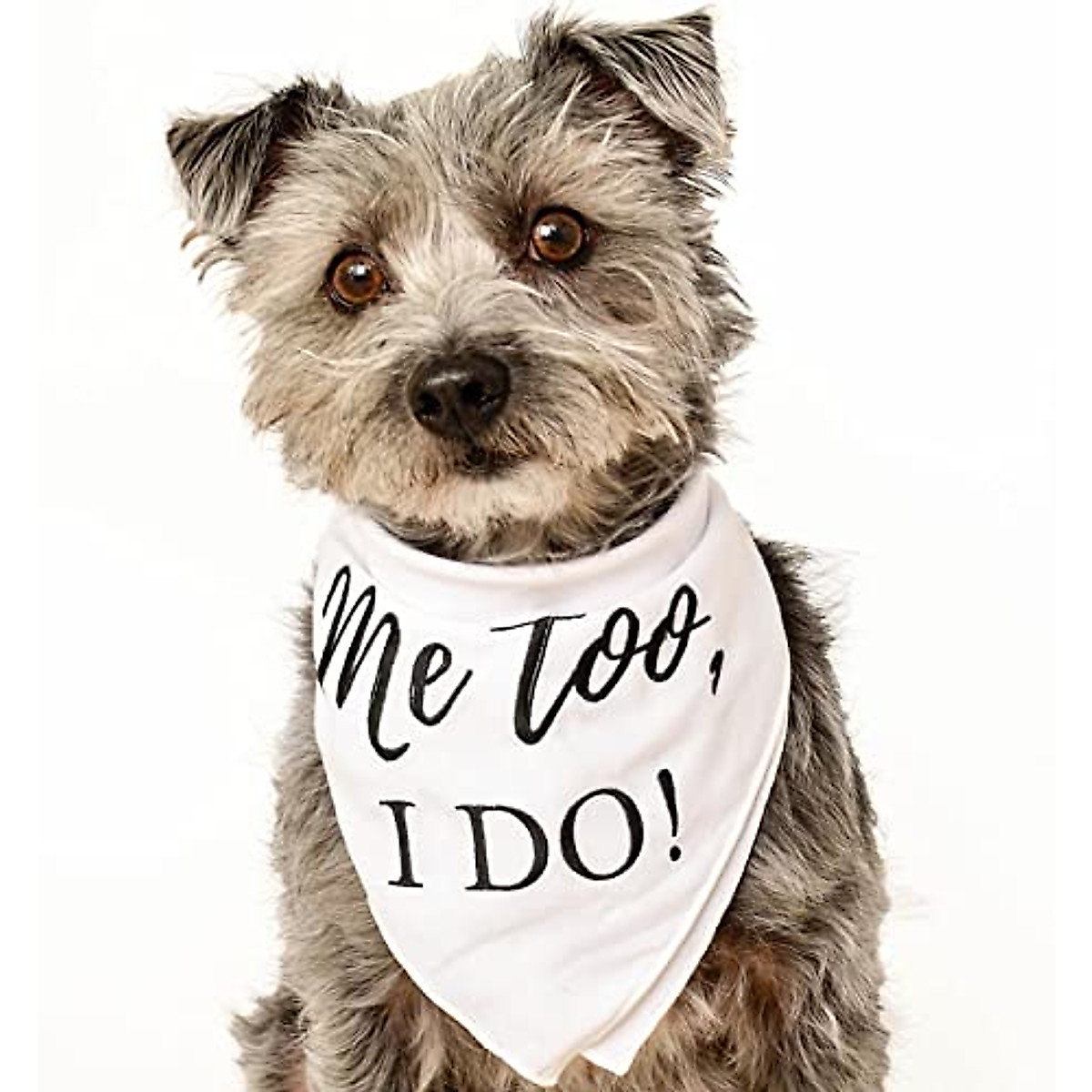 Dog Wedding Bandana for Large Dog – 23 x 23 in, Large, Embroidered Engagement Dog Bandana for Dogs with Stitched Edges & Cotton Drawstring Bag – Dog Wedding Gifts & Dog Clothes by Kendall Wags